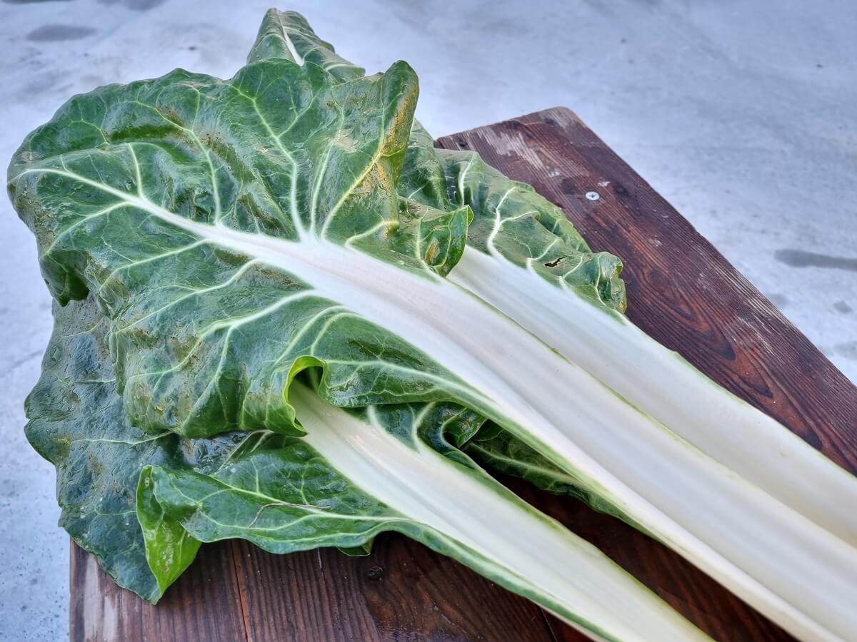 Commande de légumes | Les Artisans du Potager