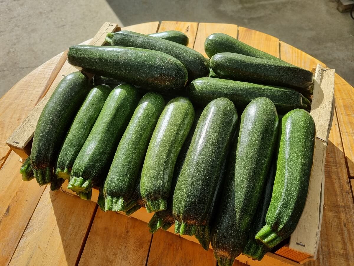 Commande de légumes | Les Artisans du Potager